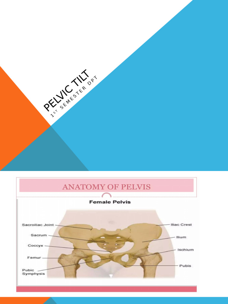 Pelvic Tilt | PDF