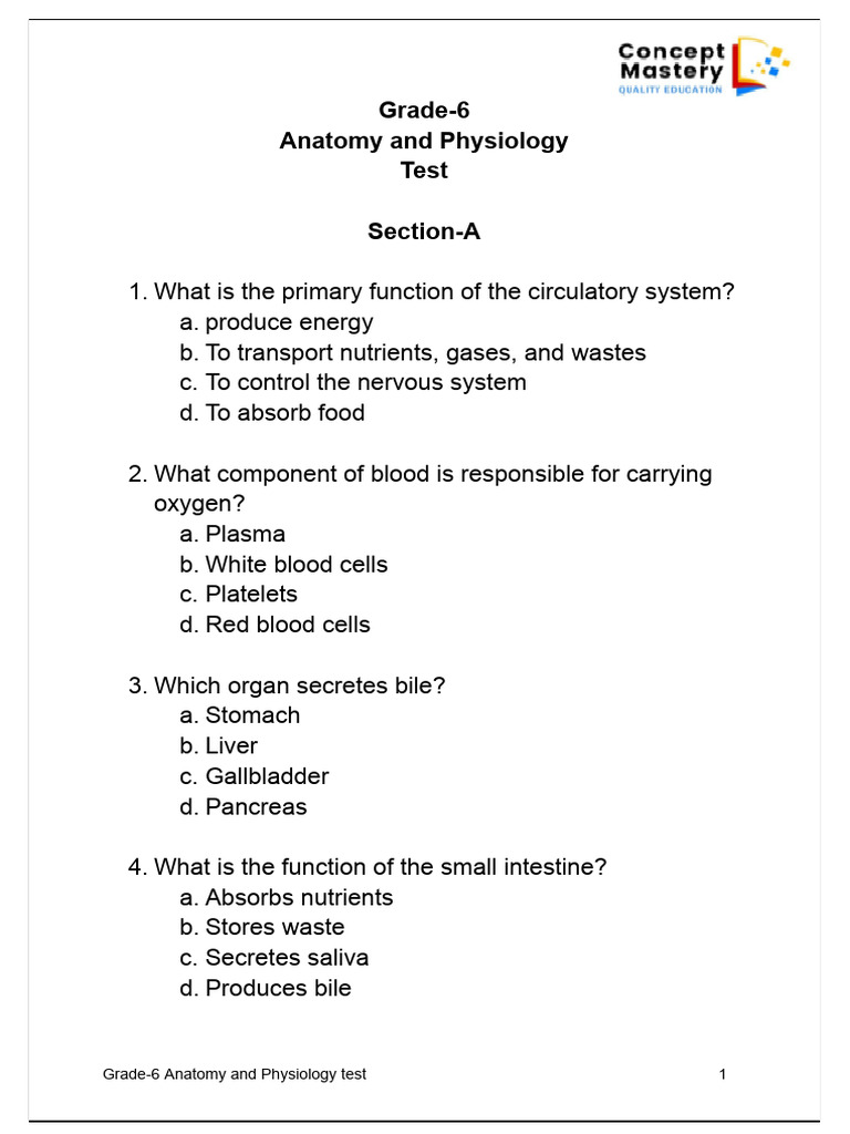 Grade 6 Anatomy & Physiology Test | PDF | Human Body | Blood