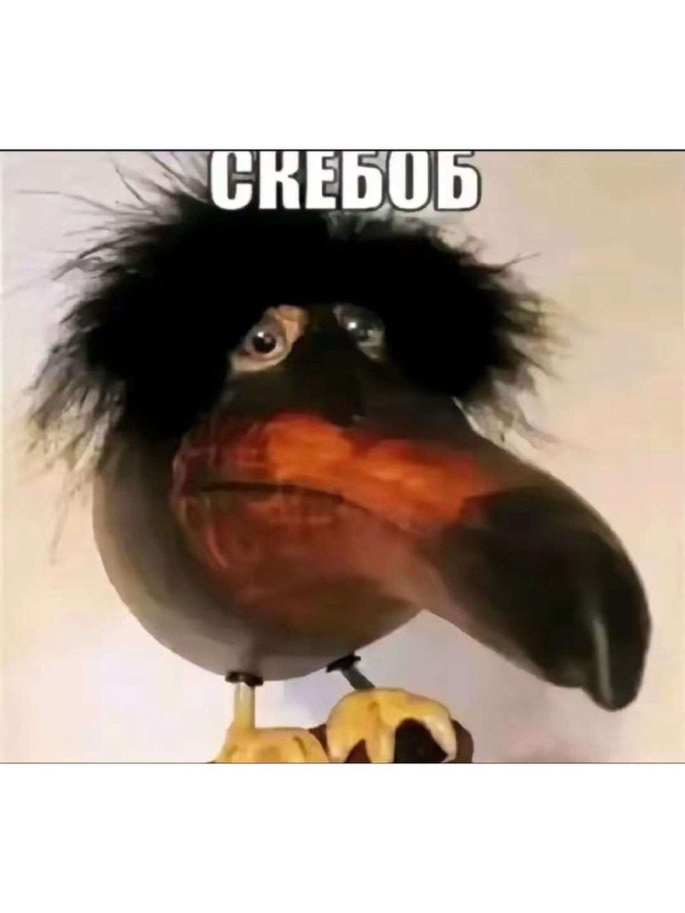 Skebob | PDF
