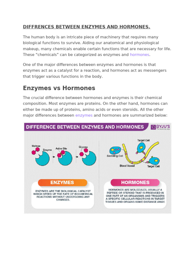 Diffrences Between Enzymes and Hormones | PDF | Hormone | Enzyme
