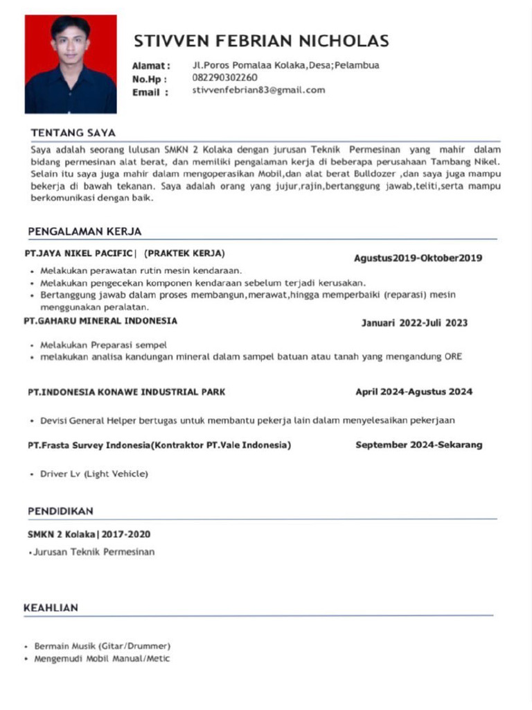 CV Stivven Febrian Nicholas | PDF