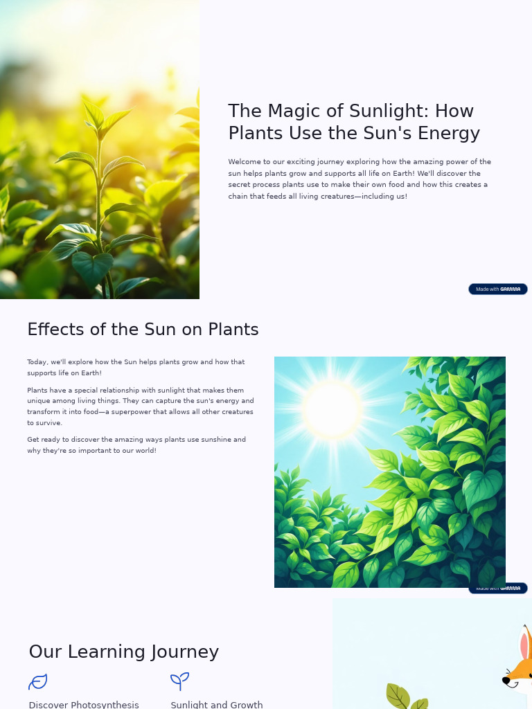 The Magic of Sunlight How Plants Use The Suns Energy | PDF | Plants | Foods