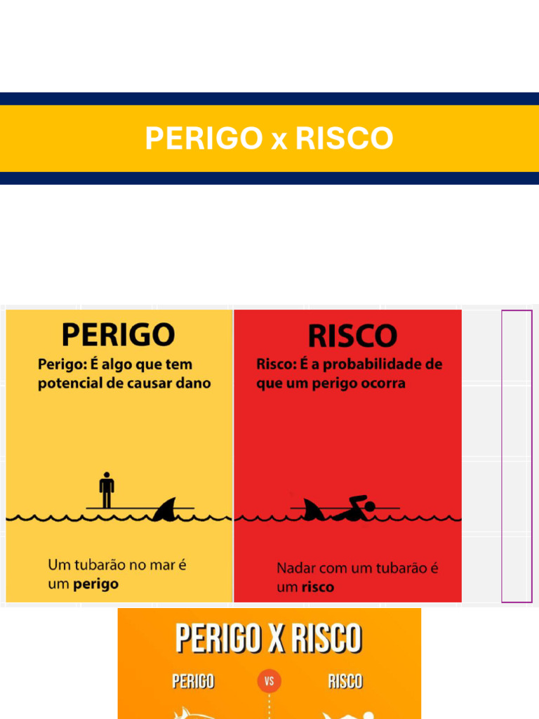 Diferença de Perigo e Risco | PDF