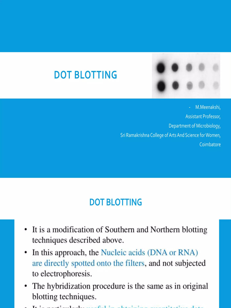 Dot Blot | PDF