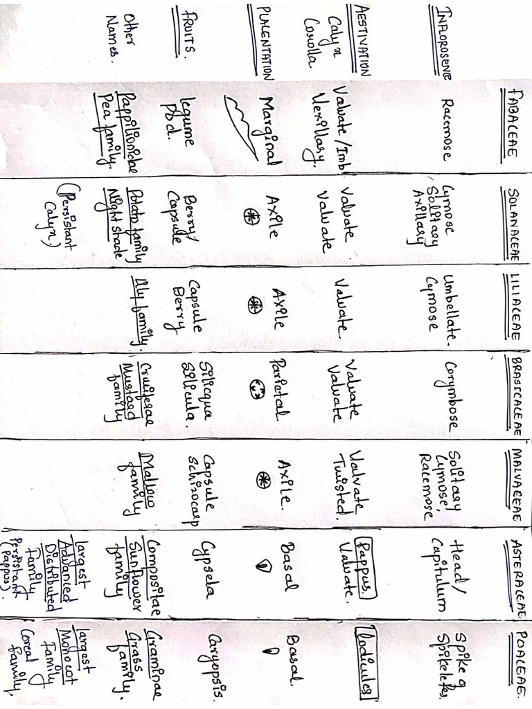 Botany Families Notes | PDF