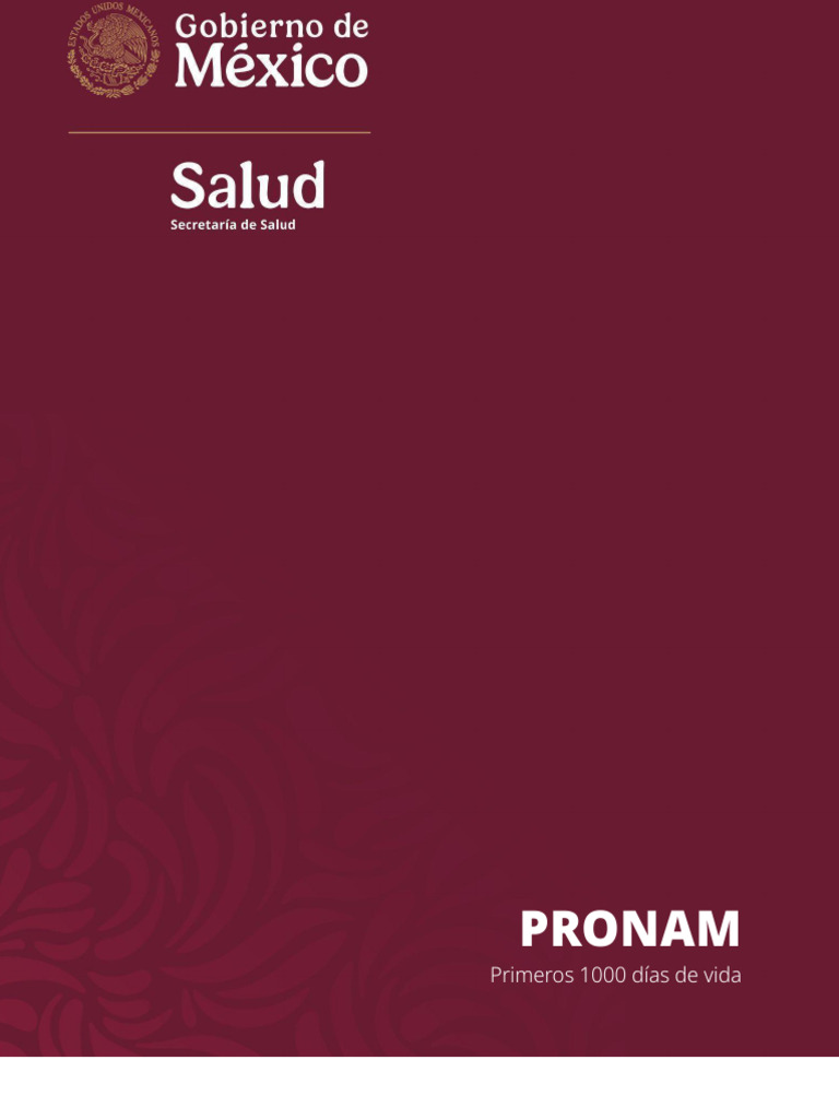 Pronam Primeros 1000 Dias | PDF | El embarazo | Amamantamiento