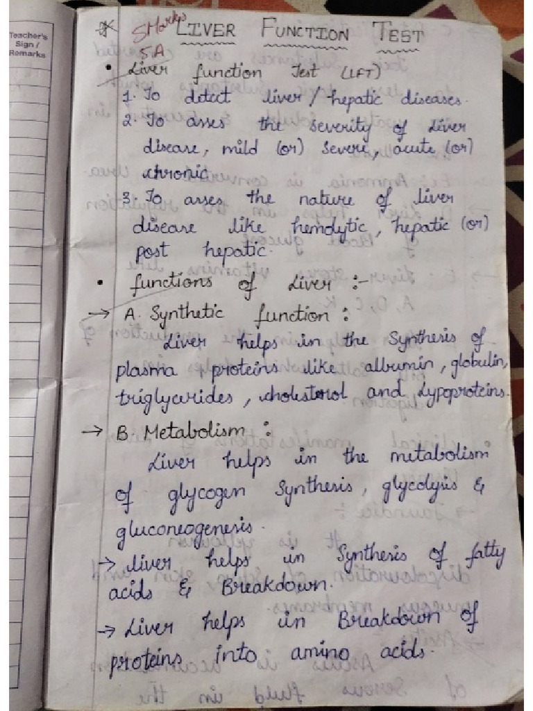 3rd Biochemistry Notes | PDF