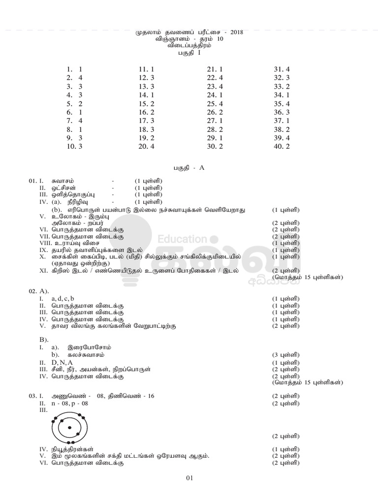 Gr10 Ta Science 2018 Term 1 Scheme | PDF