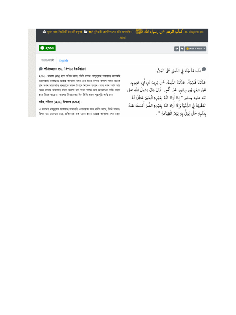 Business Hadith Coding | PDF