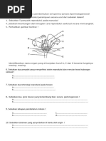 Mengenal Pltu Paiton | PDF