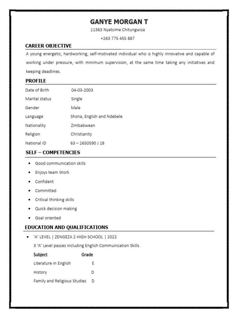 Zimbabwean Student CV and Profile | PDF
