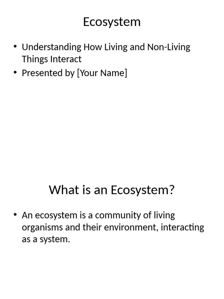 Ecosystem Presentation | PDF