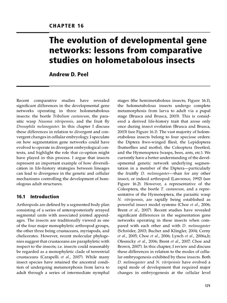 The Evolution of Developmental Gene Networks, Lessons From Comparative ...