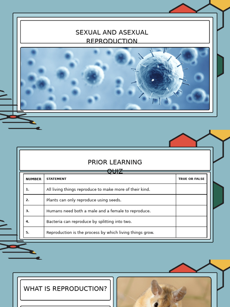 Sexual and Asexual Reproduction Lesson Presentation in Blue ...