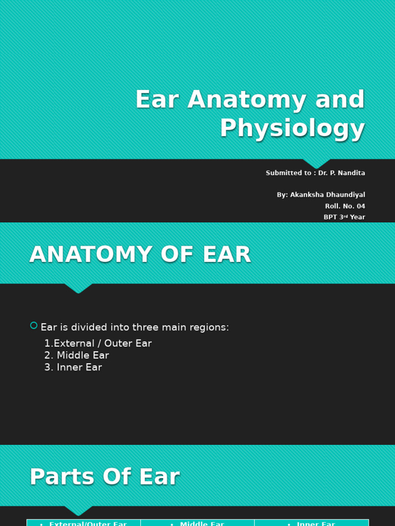 Ear Anatomy and Physiology | PDF | Ear | Auditory System