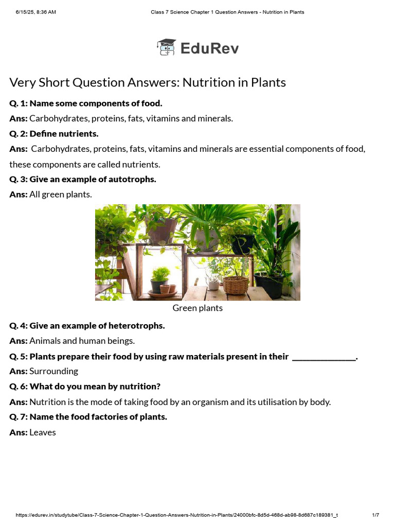 Class 7 Science Chapter 1 Question Answers - Nutrition in Plants | PDF ...