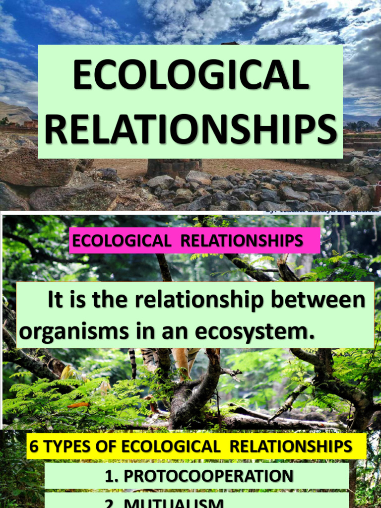 11eb5e1c - m3 - Ecological Relationships | PDF | Parasitism | Predation