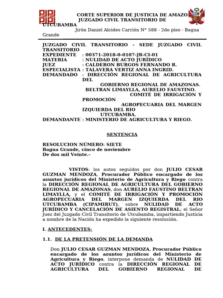 Sentencia Nulidad de Acto Juridico | PDF | Jurisdicción | Ley procesal