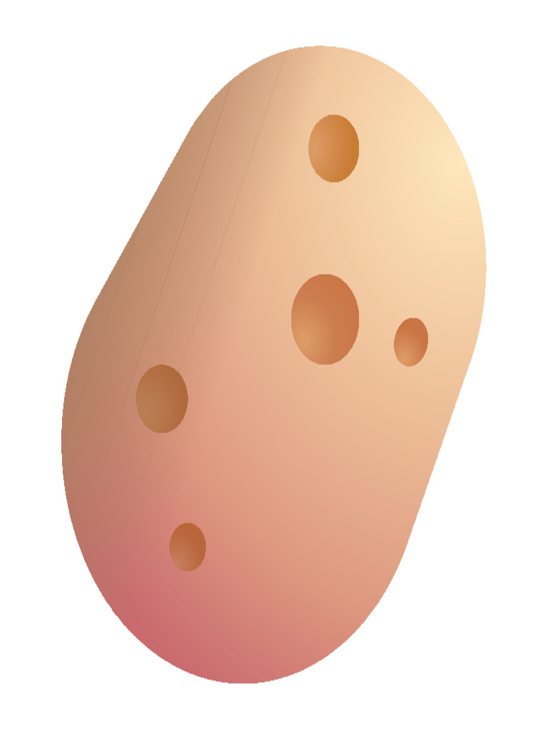 008 Potato | PDF