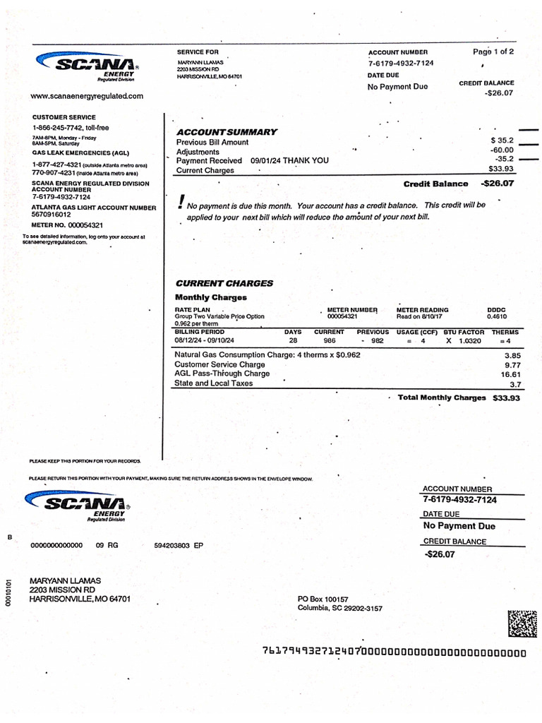 Scania Utility Bill | PDF