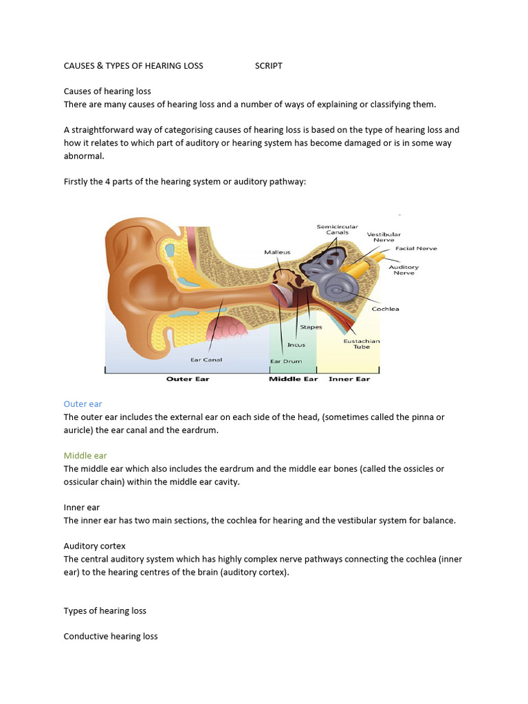 Causes and Types of Hearing Loss | PDF | Ear | Hearing Loss