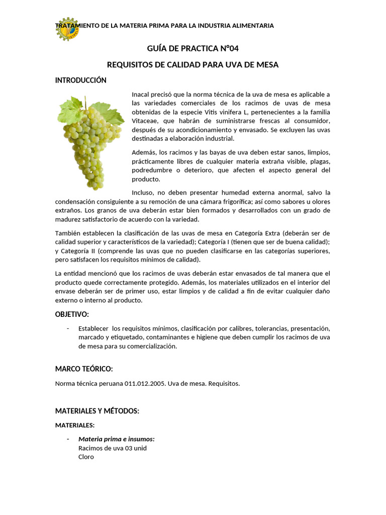 Guía de Practica 04 Uva de Mesa | PDF | Uva | Industria de alimentos