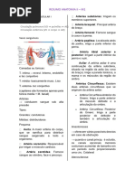 Anatomia do Sistema Venoso Ázigo | PDF | Veia | Coluna vertebral