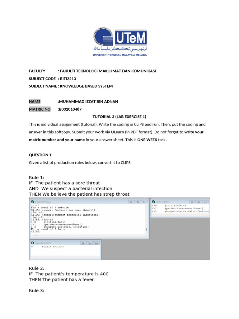 BITI2213-Lab Excercise 1 | PDF