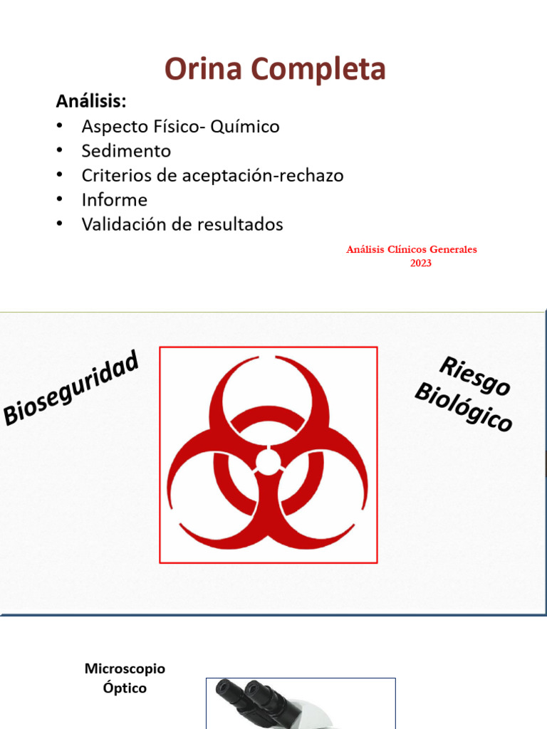 1-Orinas Completas | PDF | Riñón | Sistema urinario