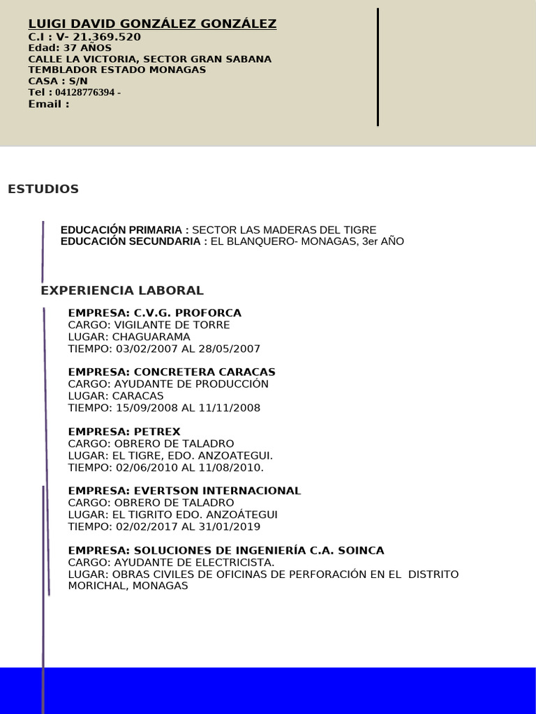 Curriculum LUIGI | PDF