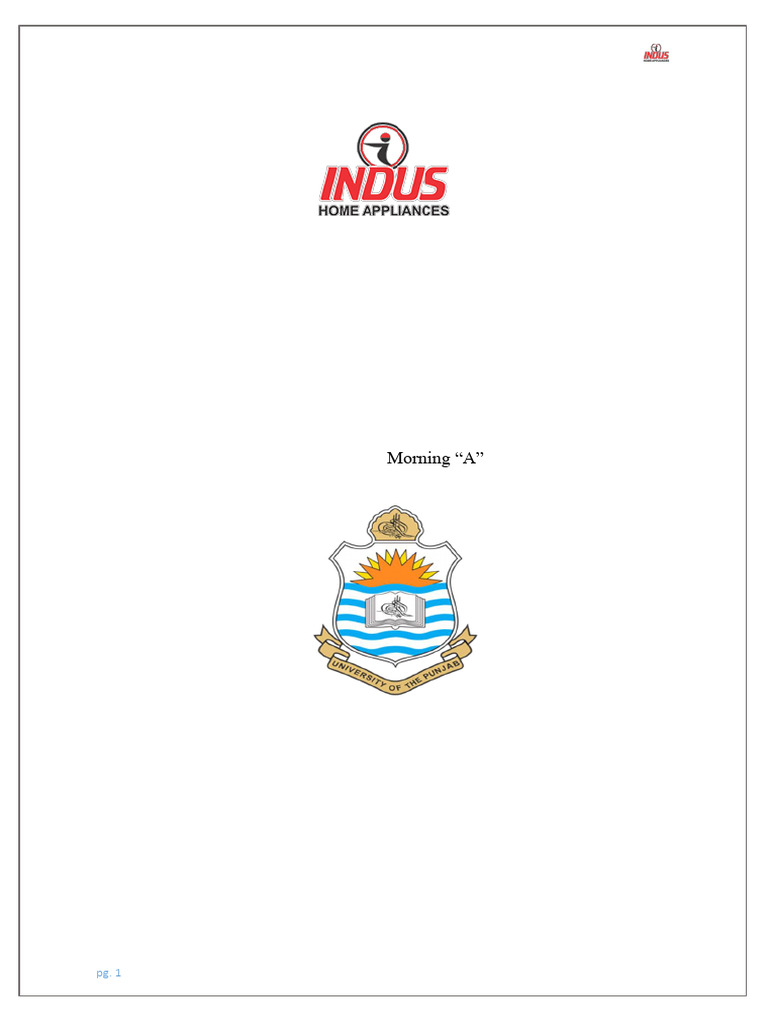 Final Intership Report Sample 2 | PDF | Capital Requirement | Efficient Energy Use