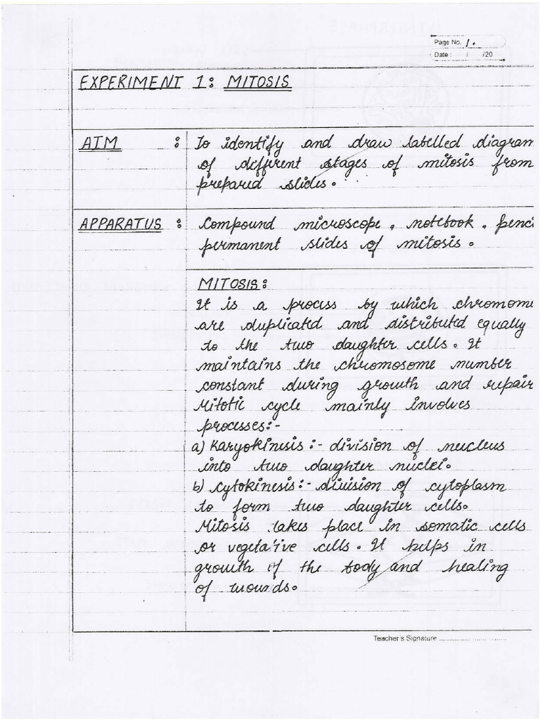 STD 10 Biology Journal | PDF