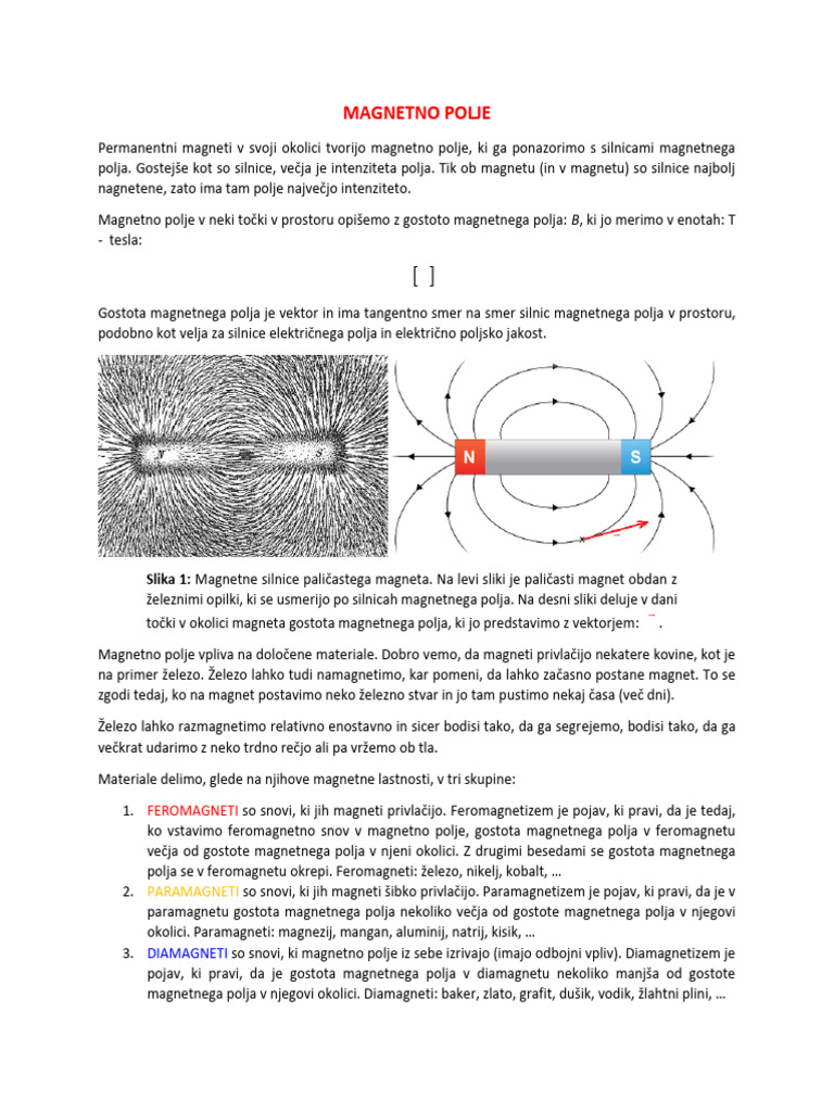 Letniki - 17. Del - Magnetno Polje | PDF