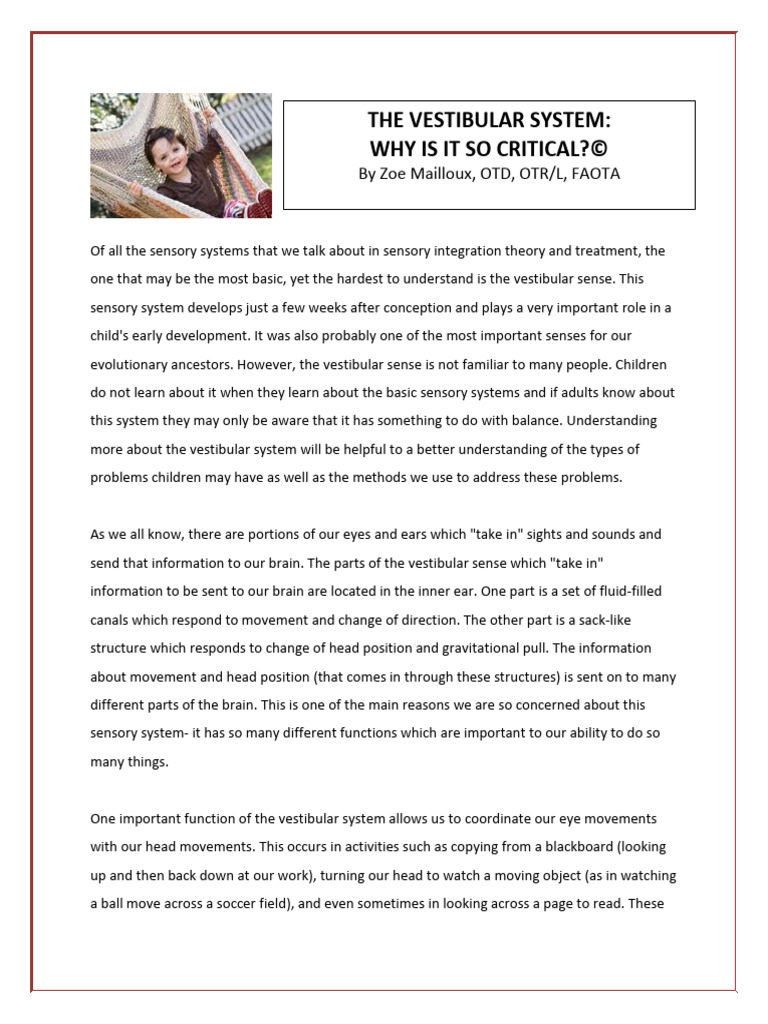 Understanding the Vestibular System | PDF | Senses | Perception