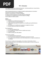 Anatomie du diaphragme stylien | PDF | Tête et cou chez l'humain ...