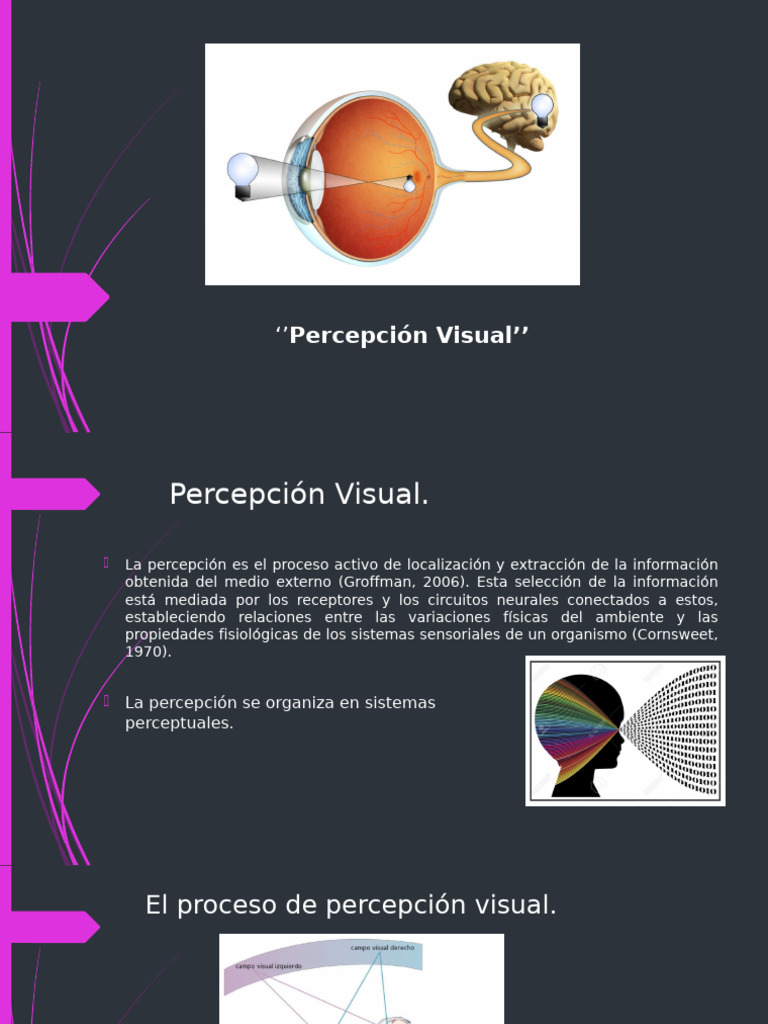 Sistemas de Percepción Visual y Sensores | PDF | Sentidos | Percepción