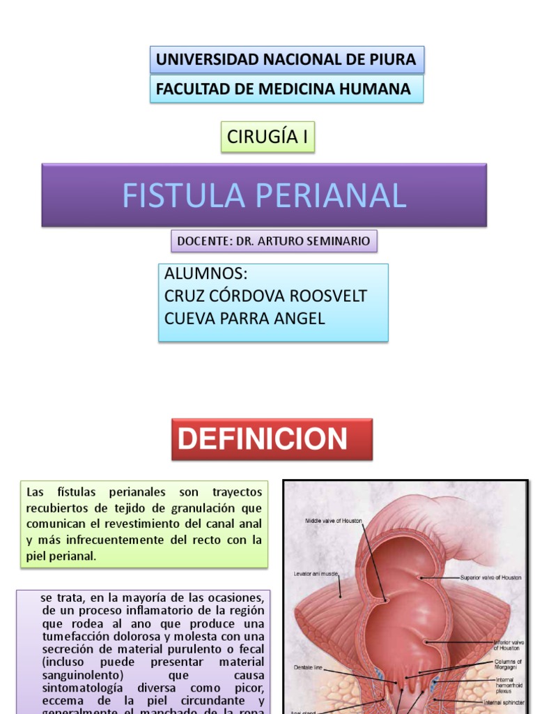 Fistula Perianal | PDF | Gastroenterología | Ciencias de la Salud