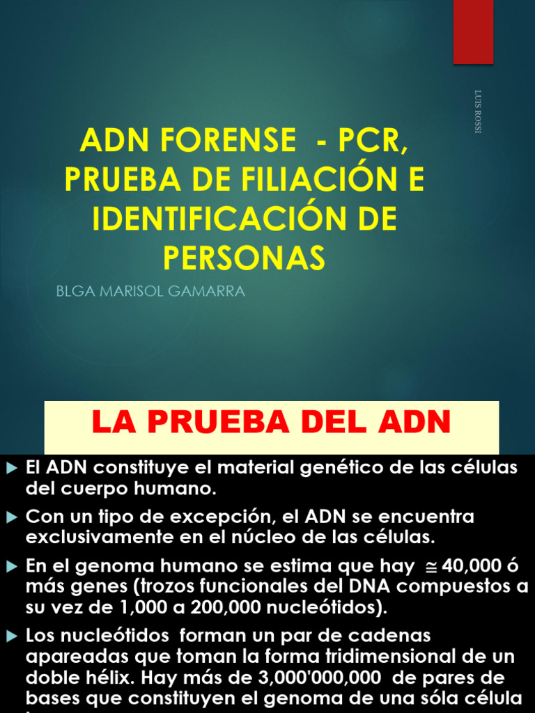 Prueba de Dna 2024 | PDF | Primer (Biología Molecular) | Reacción en ...