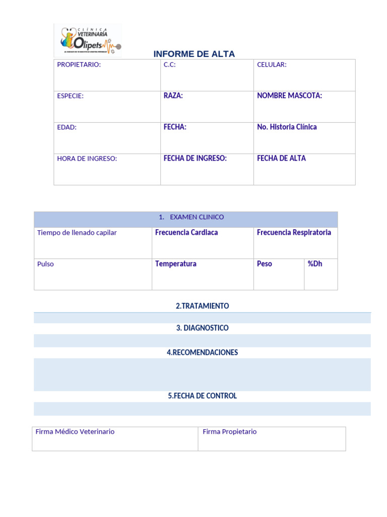 Formato de Altas de Hospitalización | PDF