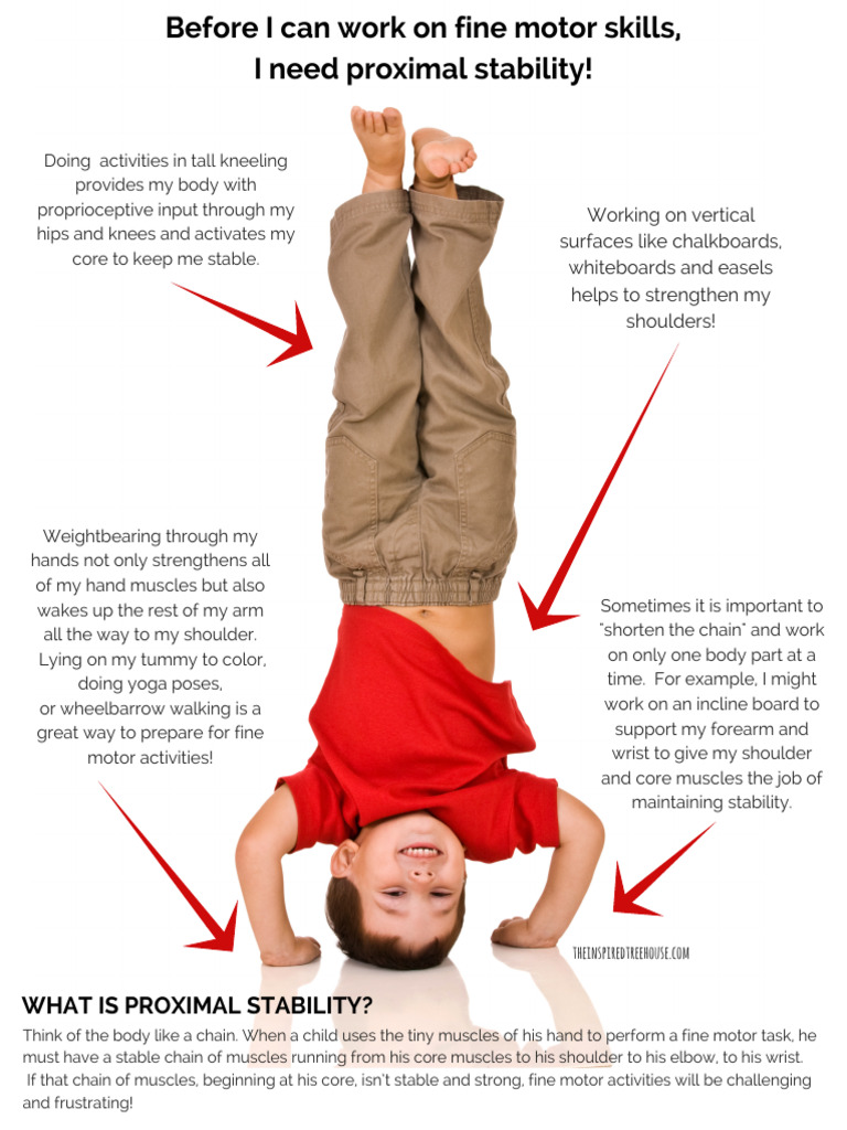 Proximal Stability for Fine Motor Skills | PDF