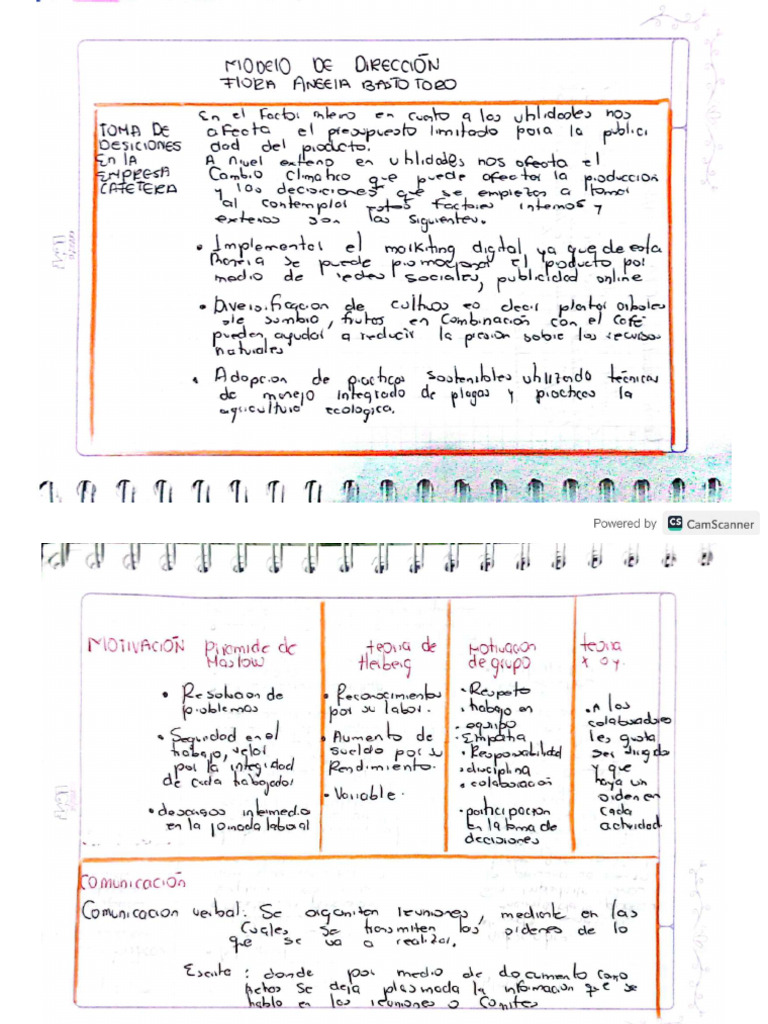 Modelo de Dirección - Compressed | PDF