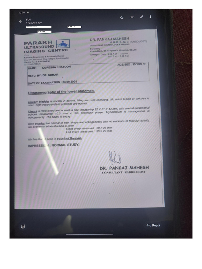 Modified Report | PDF