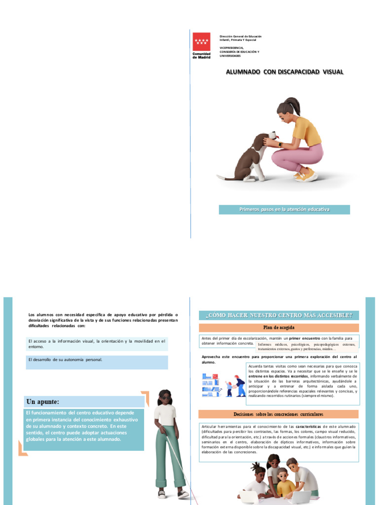 GUIA DISCAPACIDAD VISUAL - PPSX | PDF | Aprendizaje