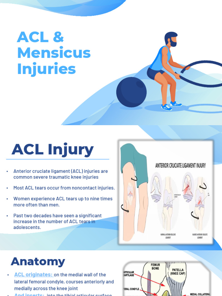 ACl & Meniscus-1 | PDF | Knee | Anatomical Terms Of Motion