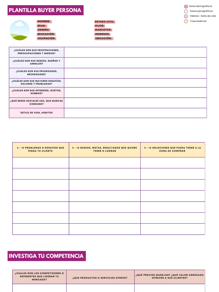 Plantilla Buyer Persona - Competencia | PDF