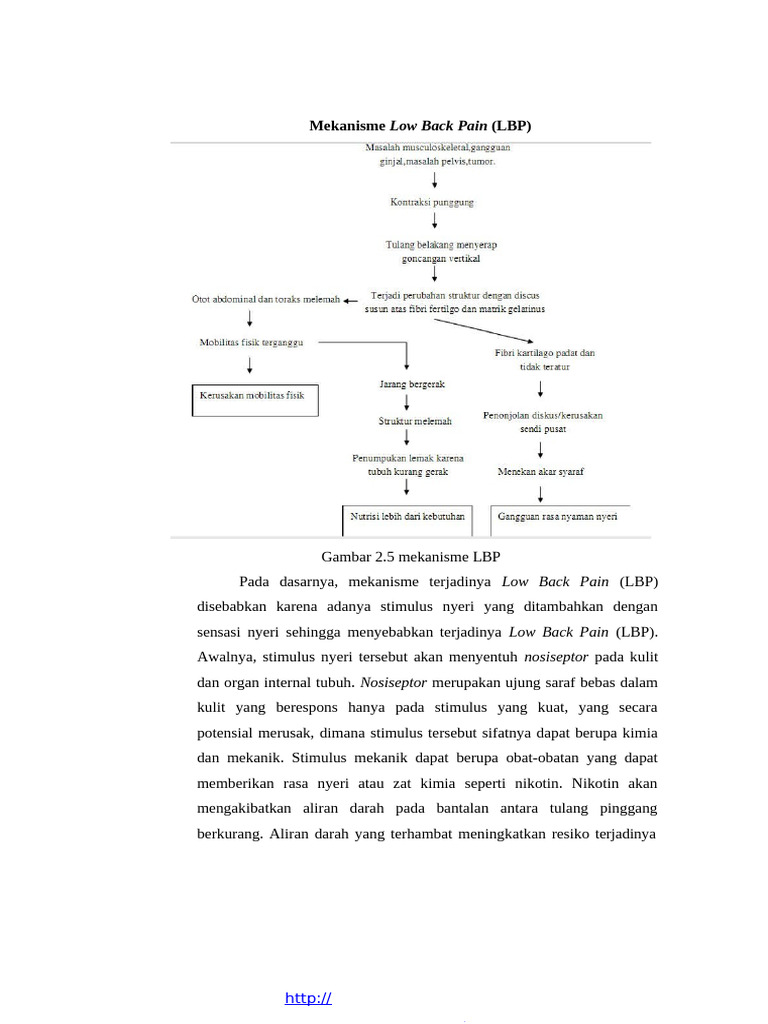 Mekanisme Terjadinya Low Back Pain | PDF