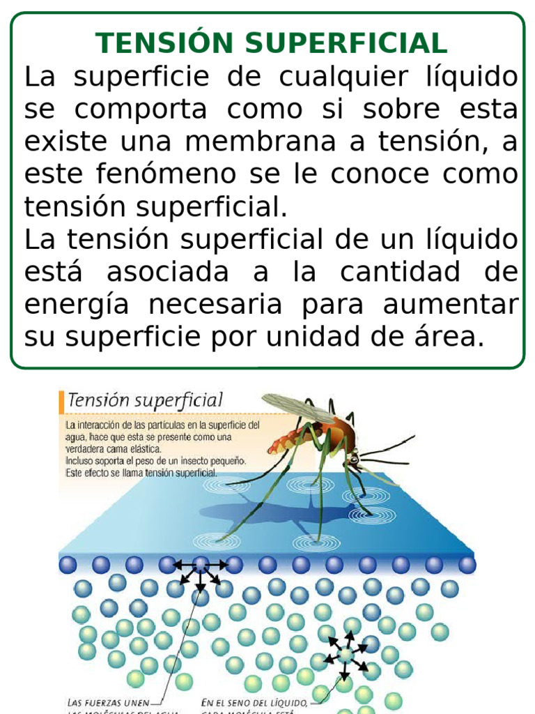 Tension Superficial y Viscosidad | PDF