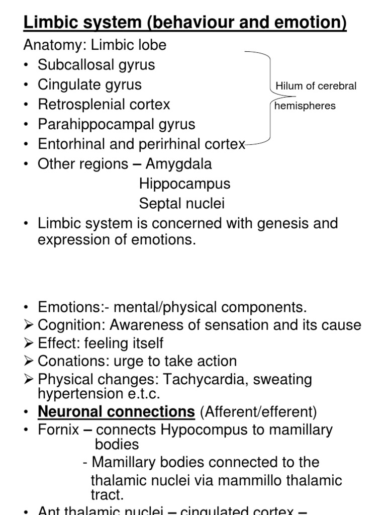 Limbic System (Behaviour and Emotion) | PDF | Limbic System | Hypothalamus