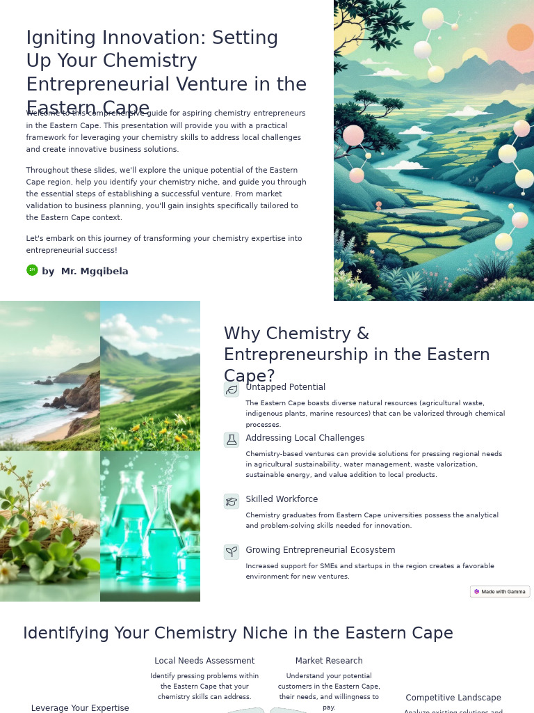 Learning Unit 3 Chapter 3 Setting Up Business | PDF | Entrepreneurship | Marketing