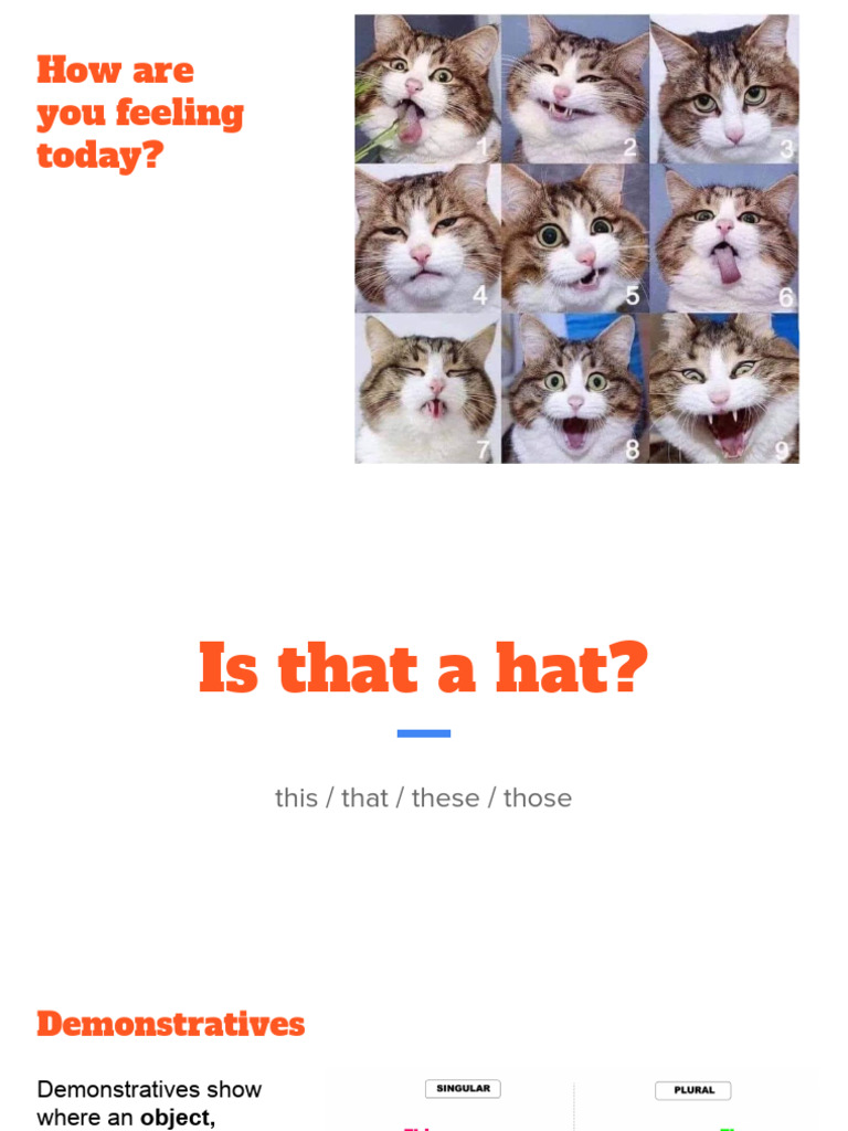 Lesson 3B - Is That A Hat | PDF